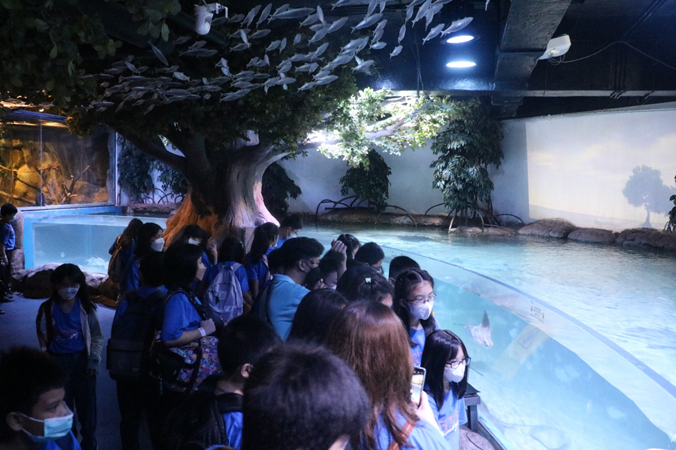 Grade 5 Excursion Overview to Jakarta Aquarium - Sekolah Harapan Bangsa